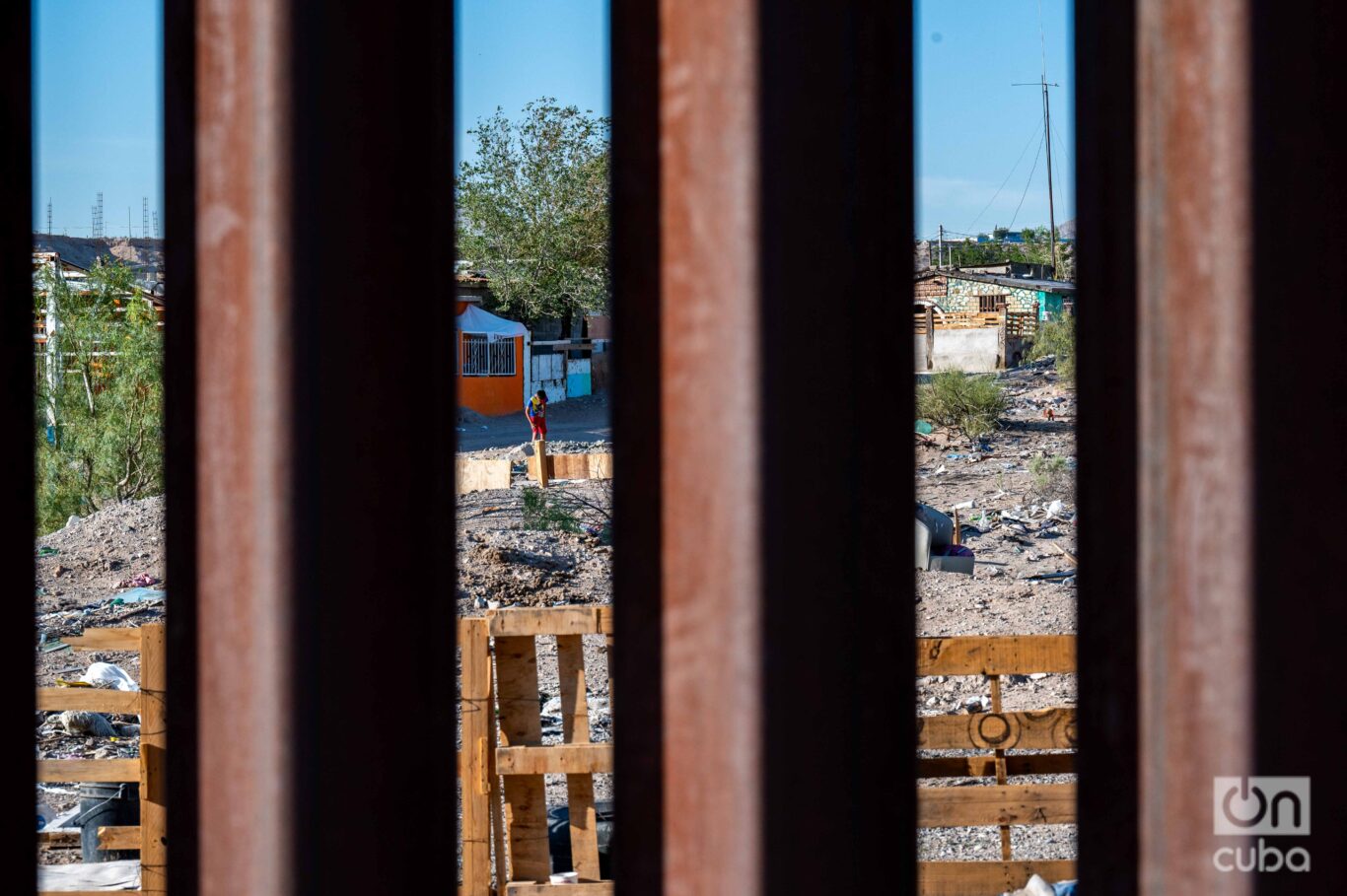 The border of the American dream: Mafia | OnCubaNews English