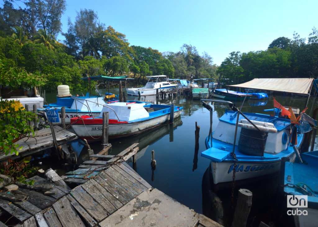 Cojímar, facing the sea and time | OnCubaNews English