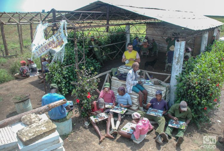 La escuela al campo - OnCubaNews