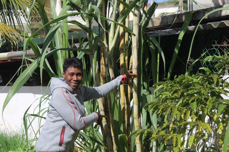 El gran salto de Mireya Luis - OnCubaNews