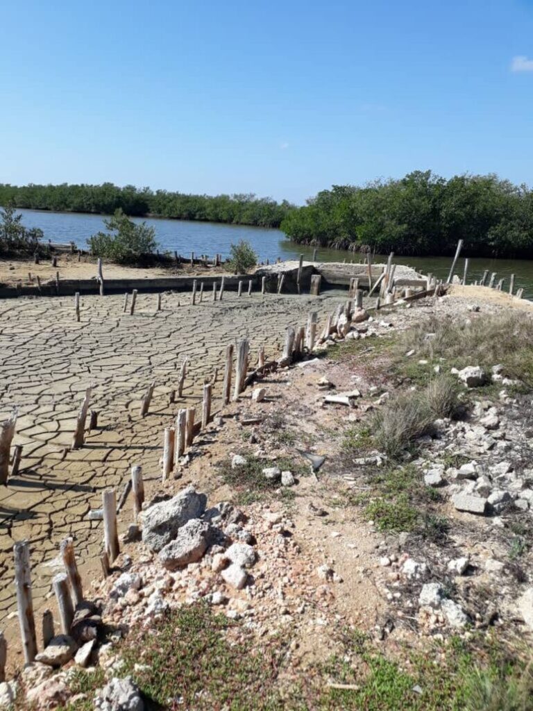 La Salinera Matanzas sobrevive más allá de su propia "salación ...